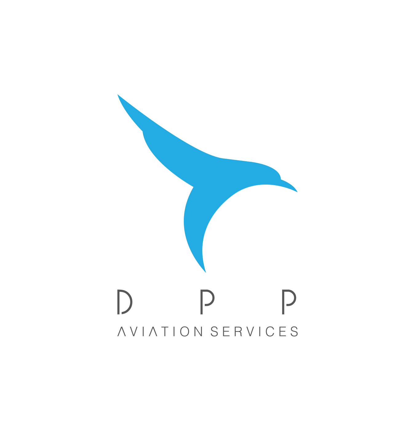 DPP AVIATION SERVICES